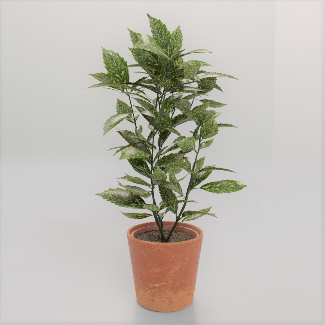 Generic Tree 13 • iMeshh