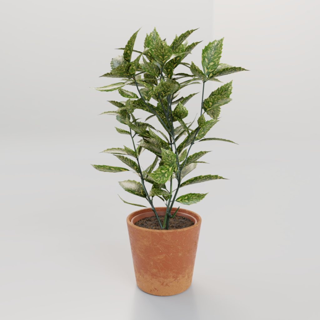 Small leaf tree • iMeshh