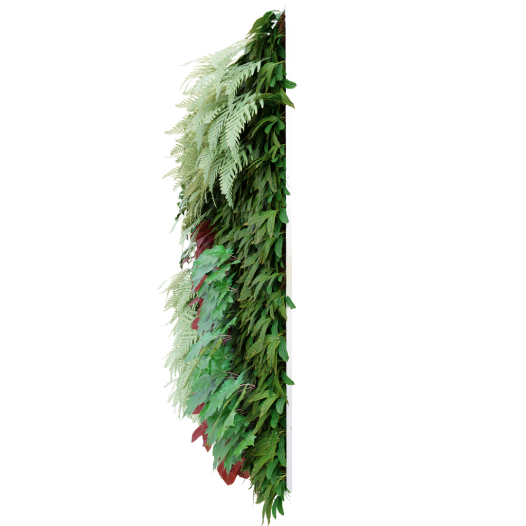 Large plant wall • iMeshh