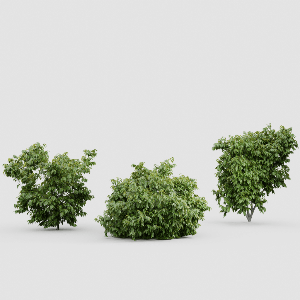 Outdoor Bush Set • iMeshh