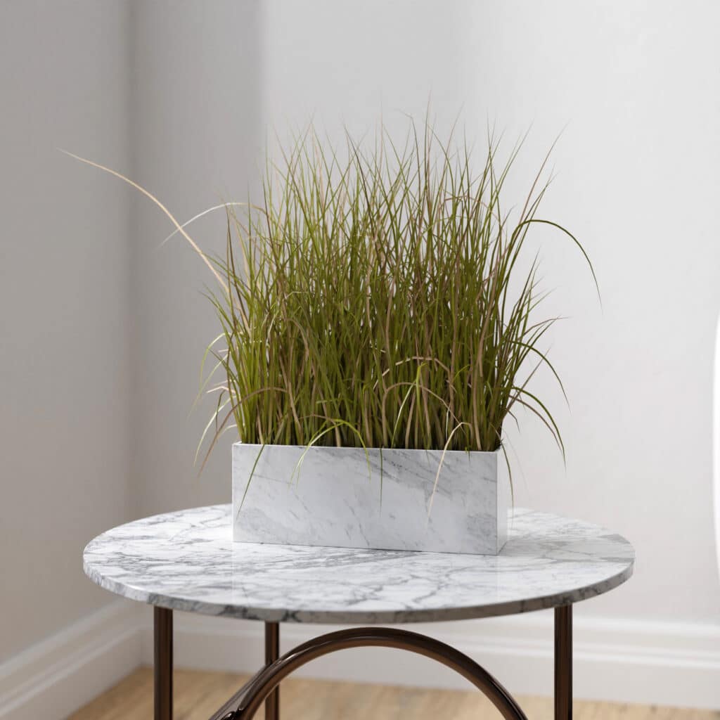 Indoor Grass Box • iMeshh