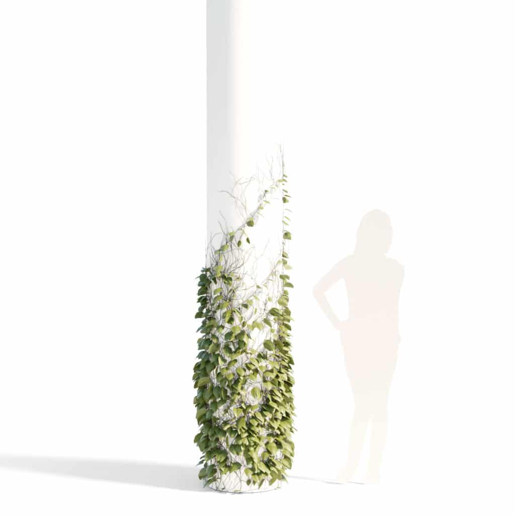 Ivy on Round Pillar • iMeshh