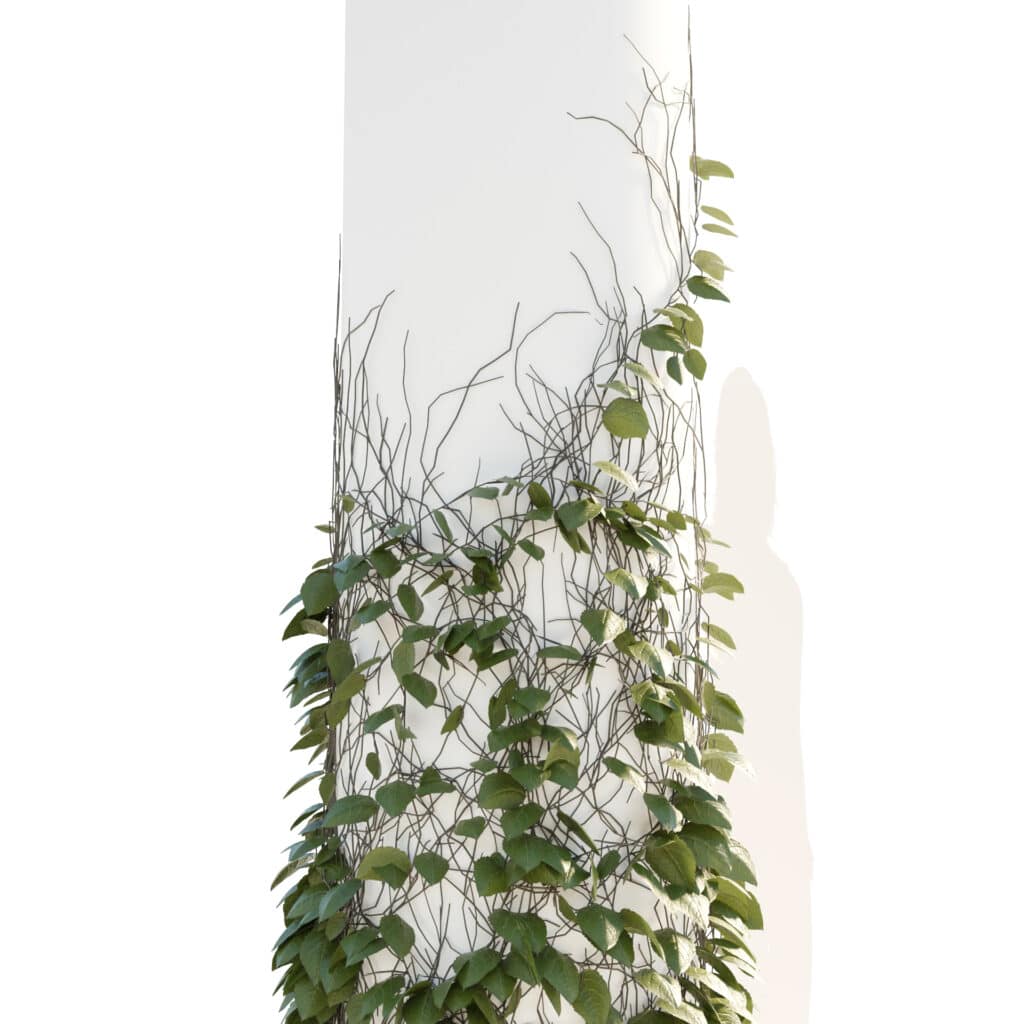 Ivy on Round Pillar – iMeshh