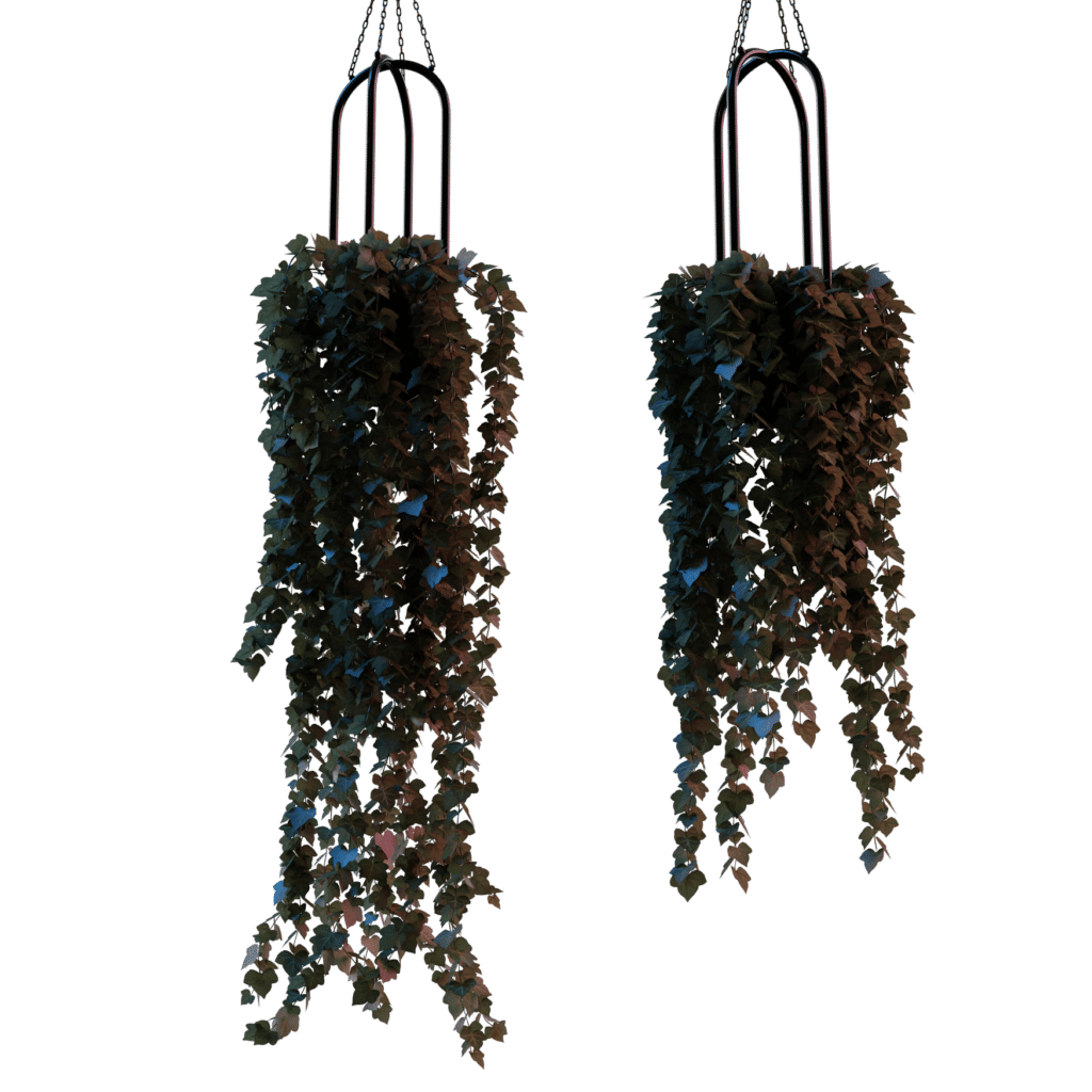 Hanging Ivy Pot • iMeshh