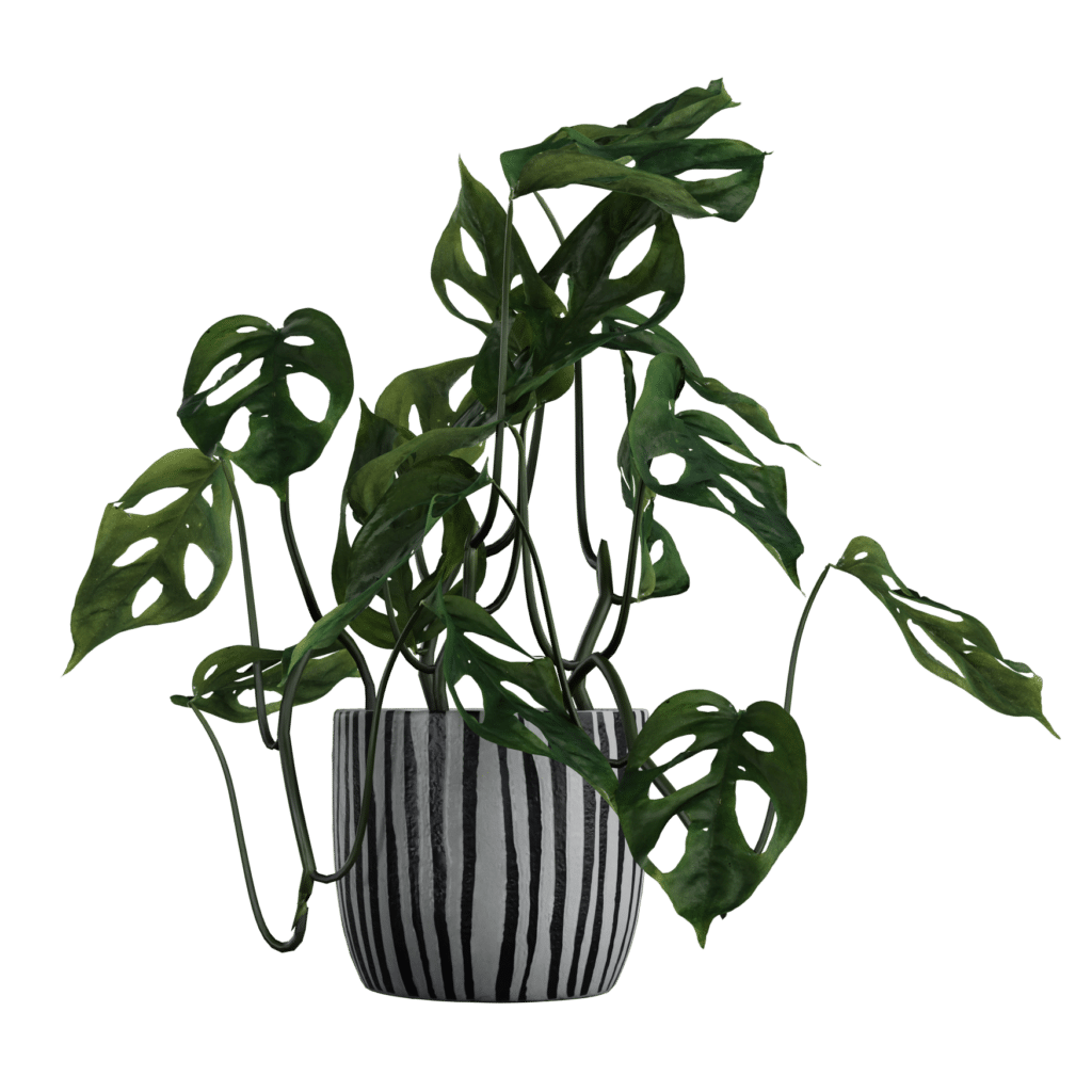 Monkey Leaf 2 3D Models For Blender IMeshh 3D Model Library