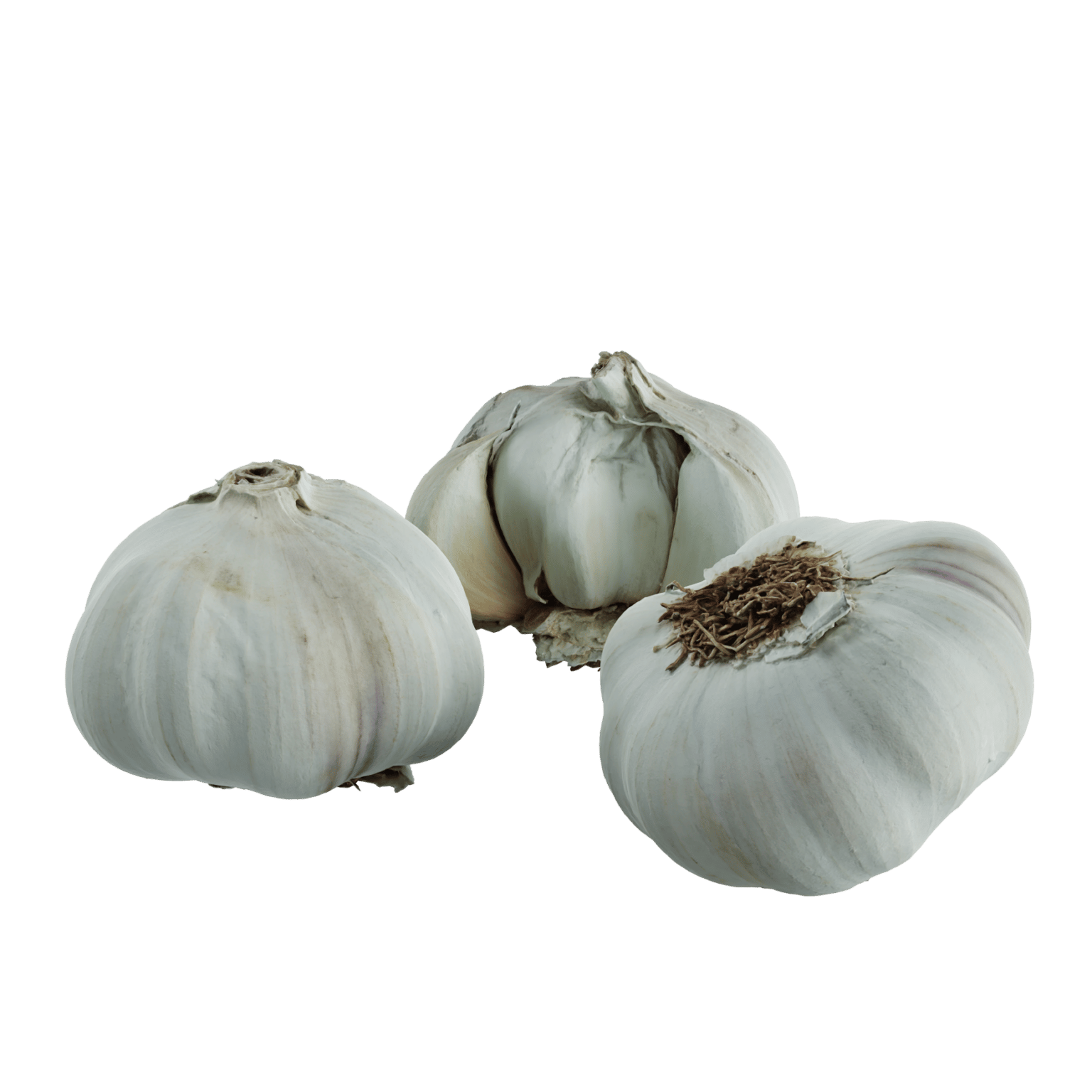 Garlic 3D Models for Blender • iMeshh 3D Model Library