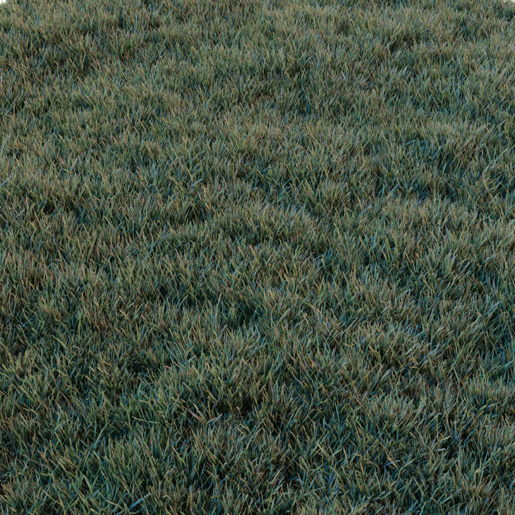 Unkempt Lawn • iMeshh