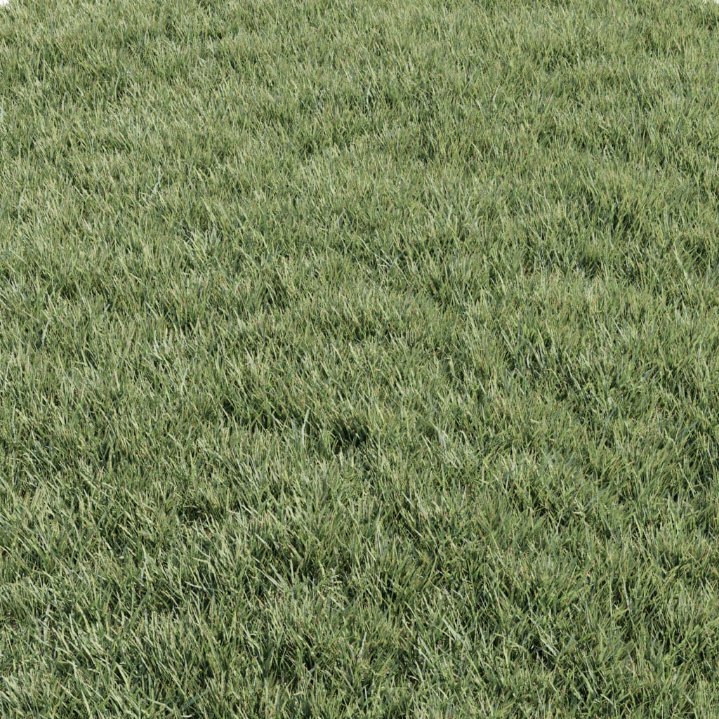 Unkempt Lawn • iMeshh