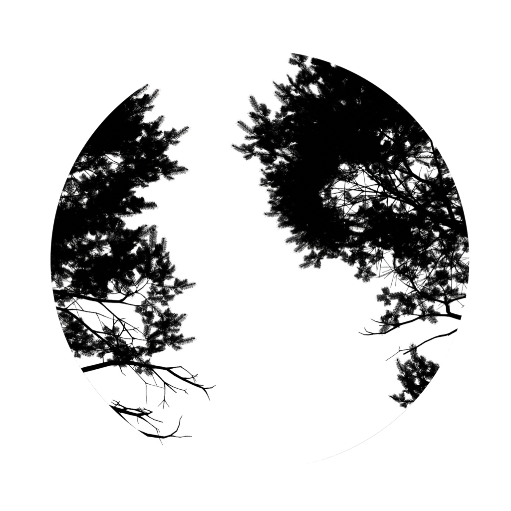 Gobo Tree Animated 03 • iMeshh - 3D Model for Blender 4.0+