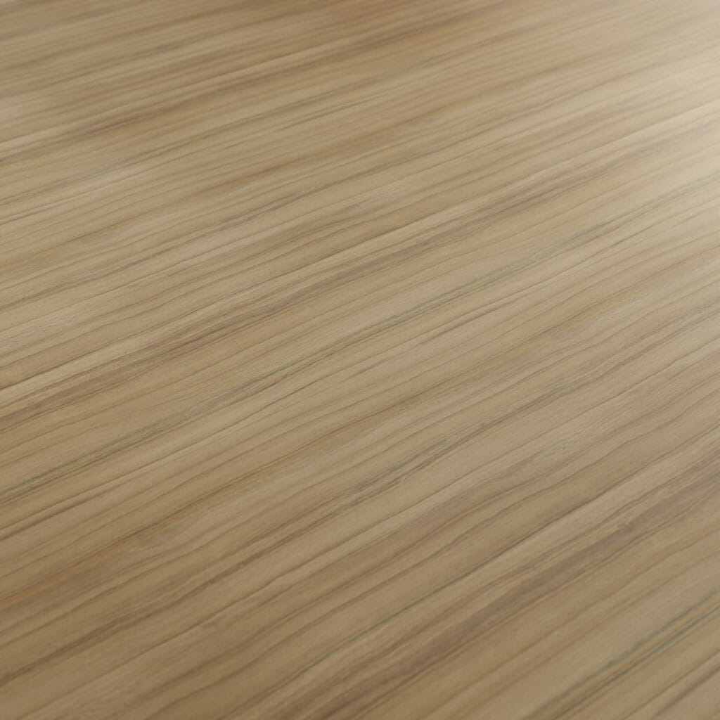 Wood Coco Bolo • iMeshh - 3D Model for Blender 4.0+