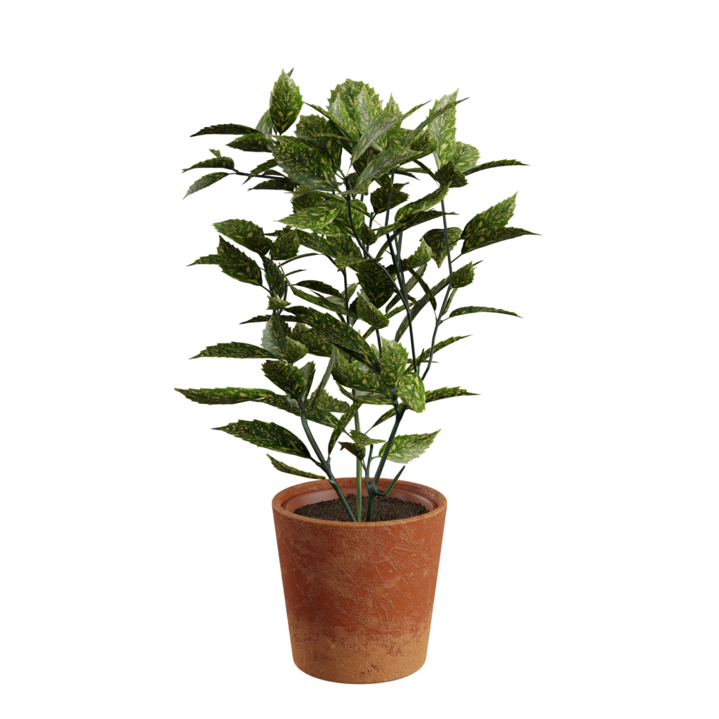 Potted Small Tree 02 • iMeshh - 3D Model for Blender 4.0+