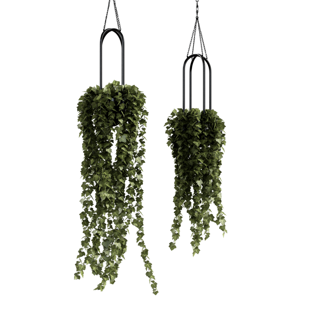Hanging Potted Ivy Plant 02 • iMeshh - 3D Model for Blender 4.0+