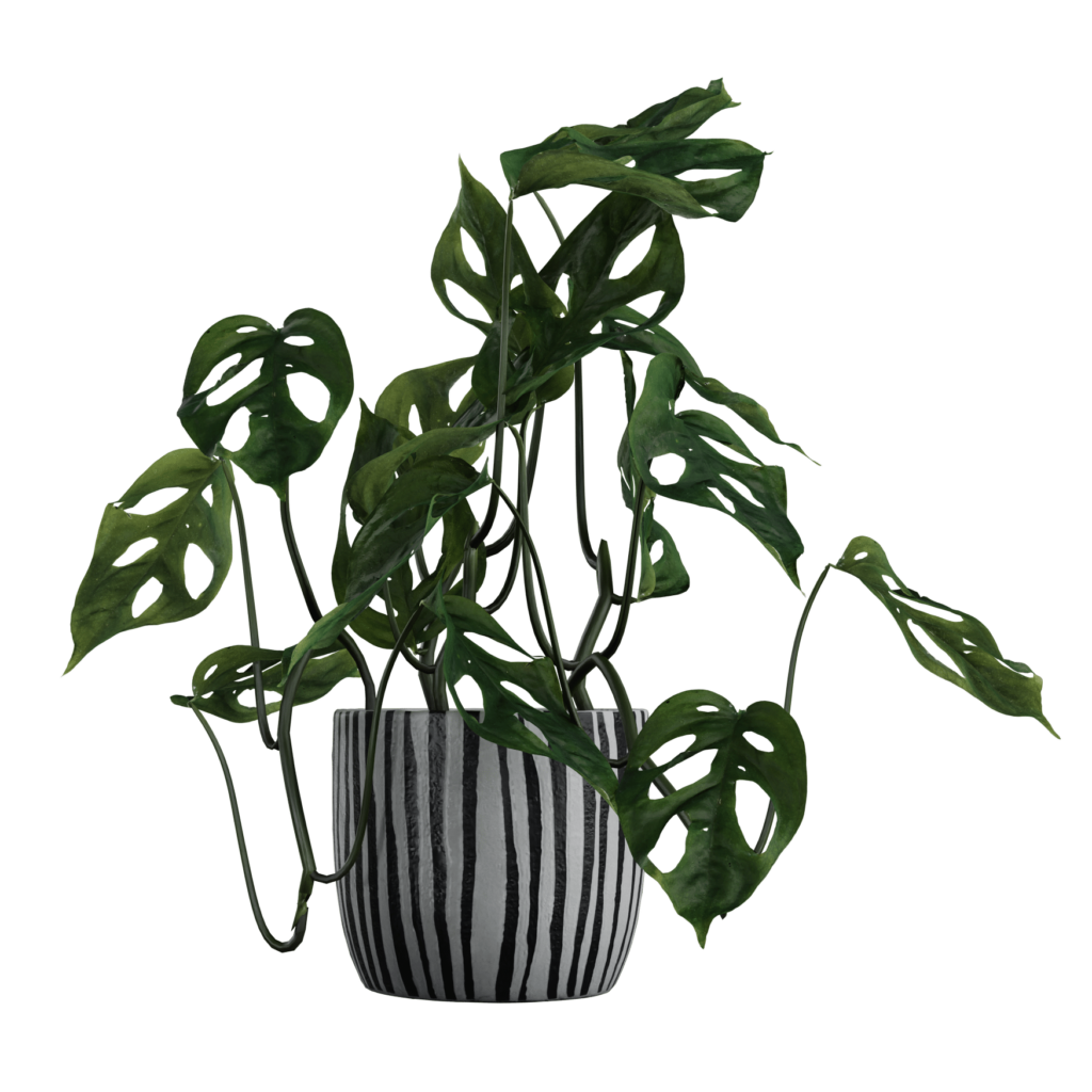 Monkey Leaf 01 3D Models for Blender • iMeshh 3D Model Library