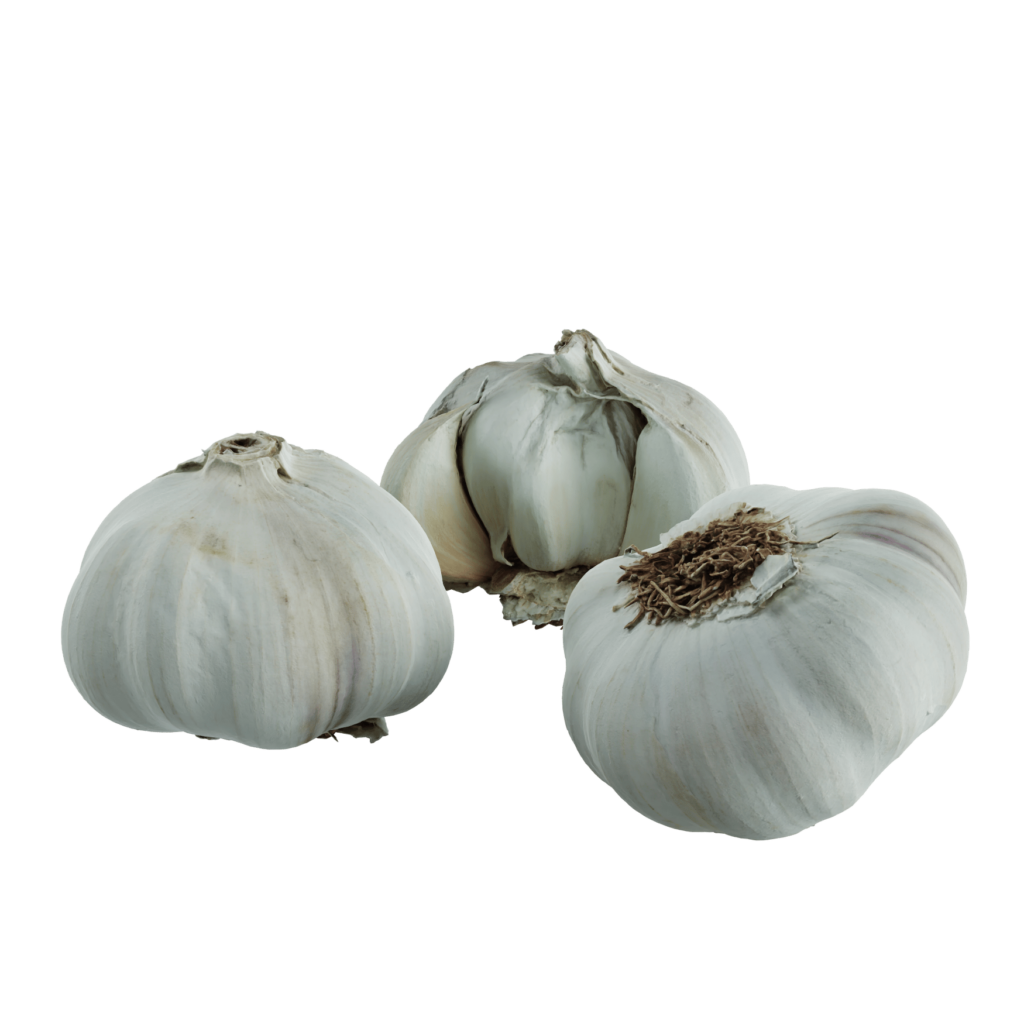 Garlic 01 3D Models for Blender • iMeshh 3D Model Library