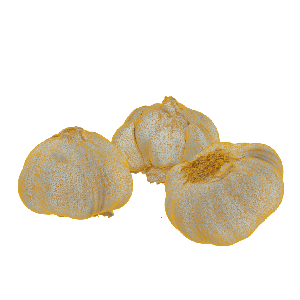 Garlic 01 3D Models for Blender • iMeshh 3D Model Library