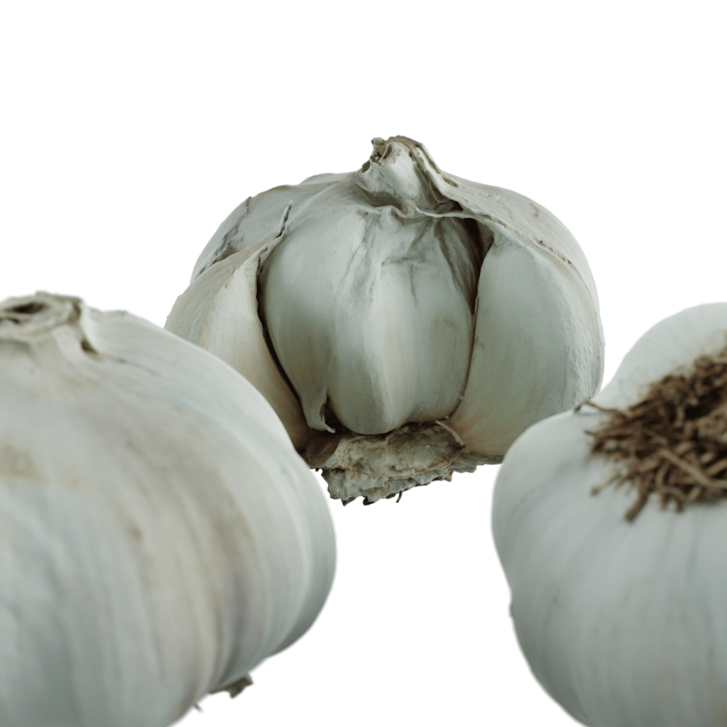 Garlic 01 3D Models for Blender • iMeshh 3D Model Library
